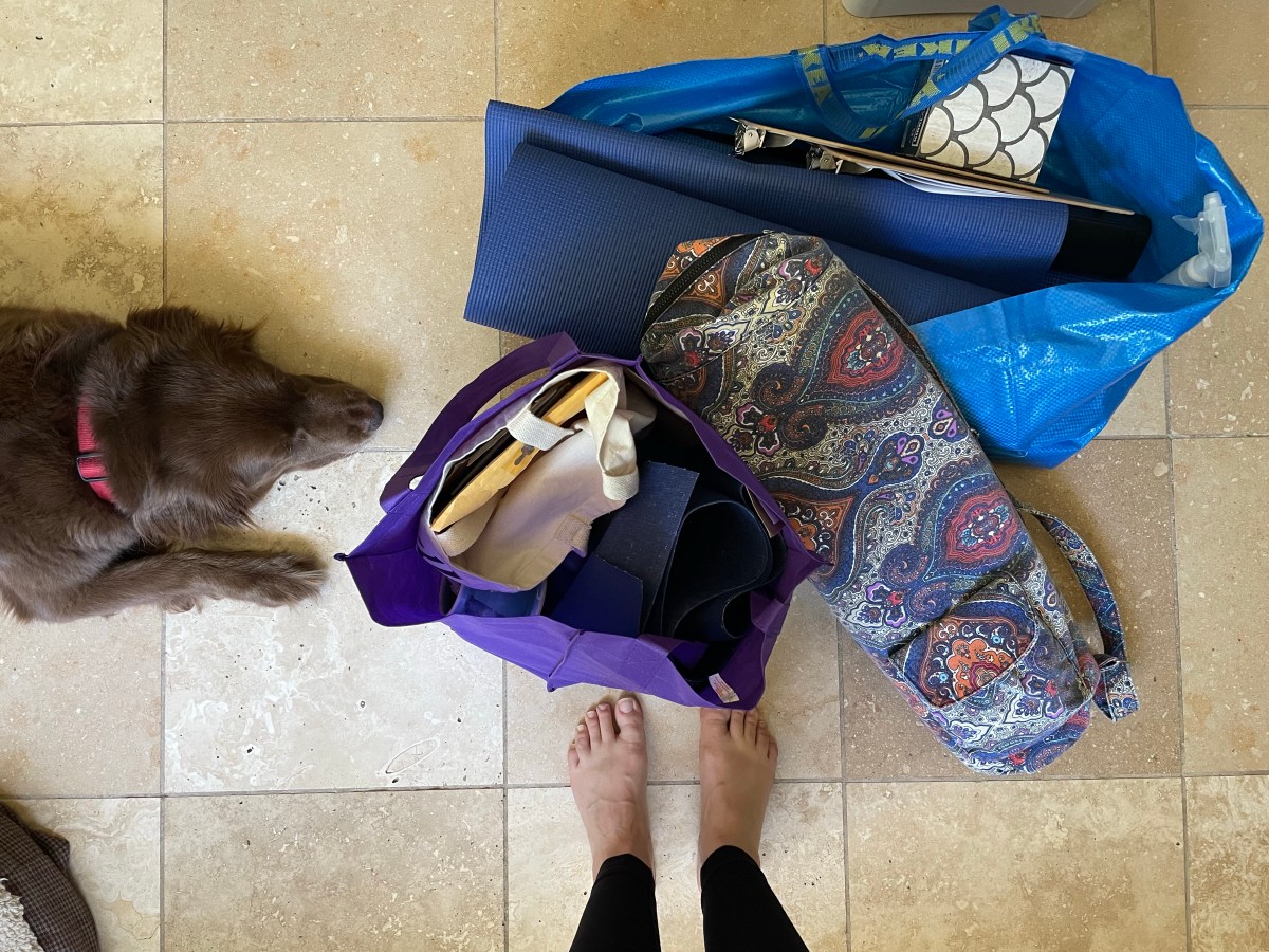 Feeding the “real work” – Sarah Coomber
